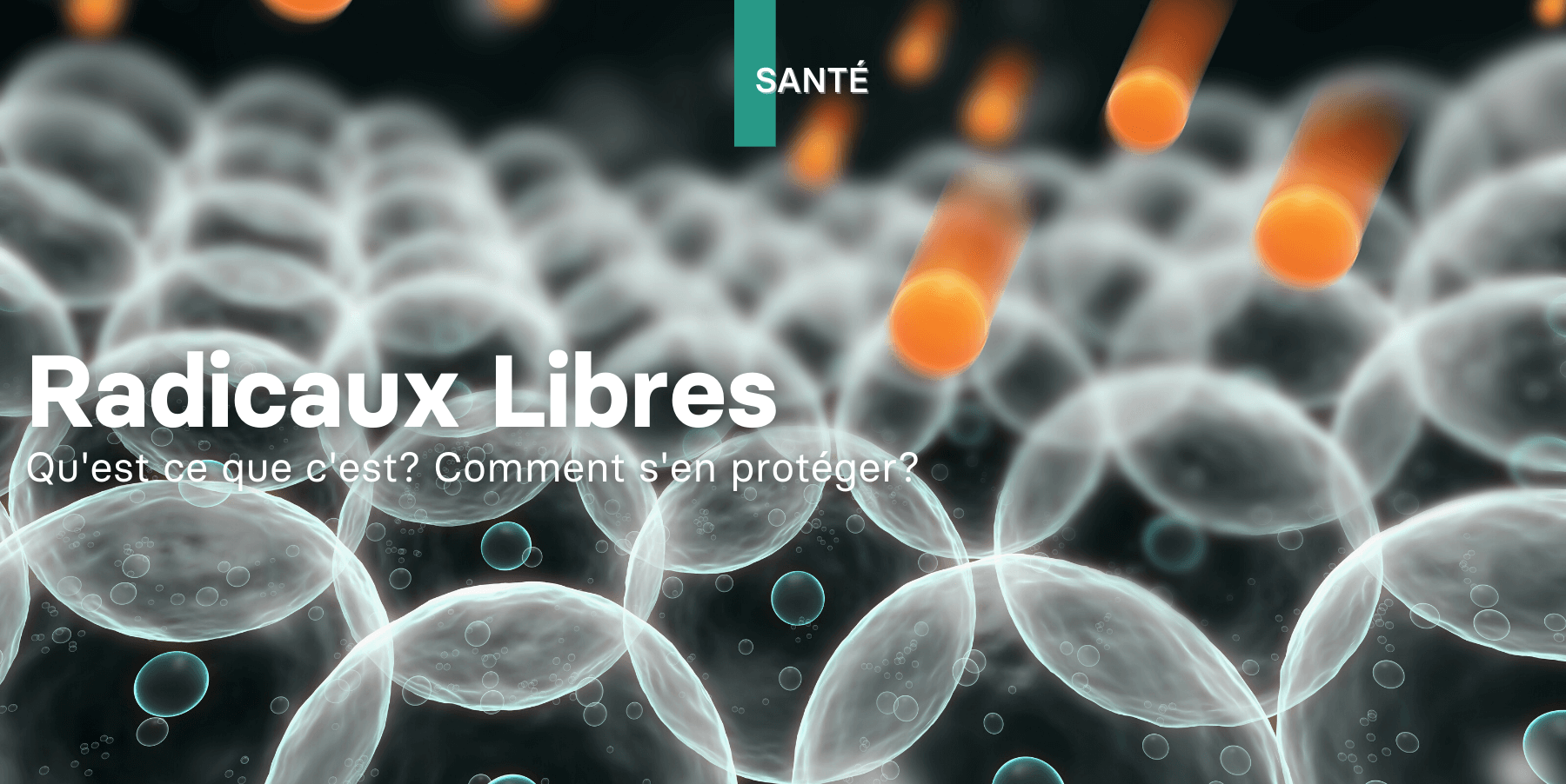 Que sont les radicaux libres? Comment se protéger? | Phytocea